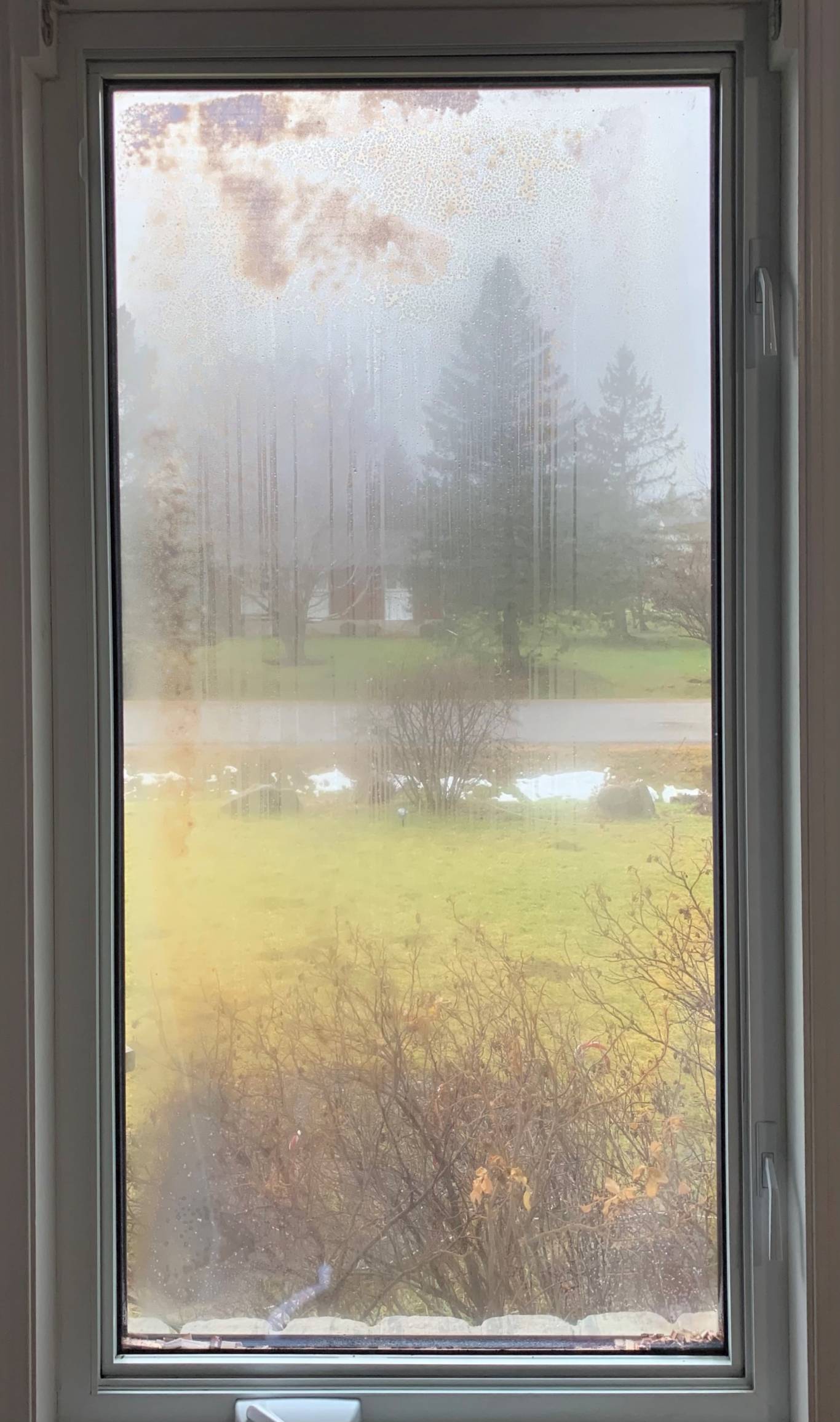 The 4 Most Common Window Problems