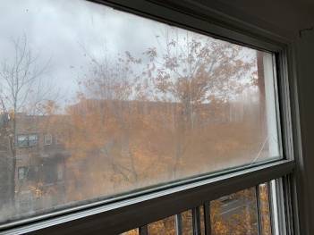 The 4 Most Common Window Problems