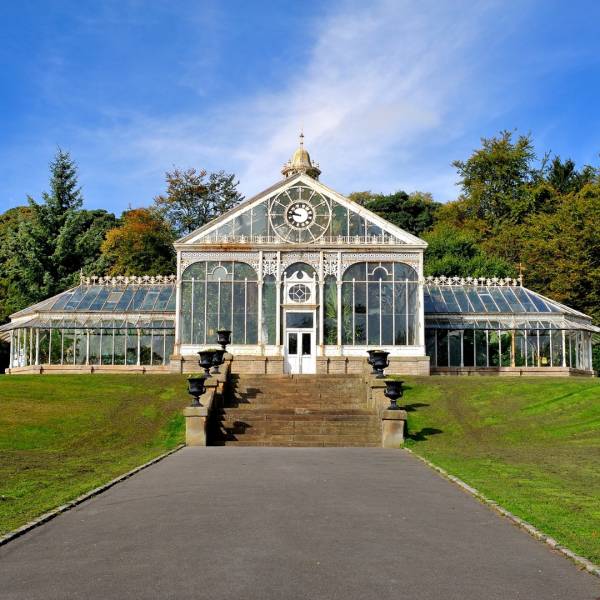 A Brief History of the Solarium Through Time