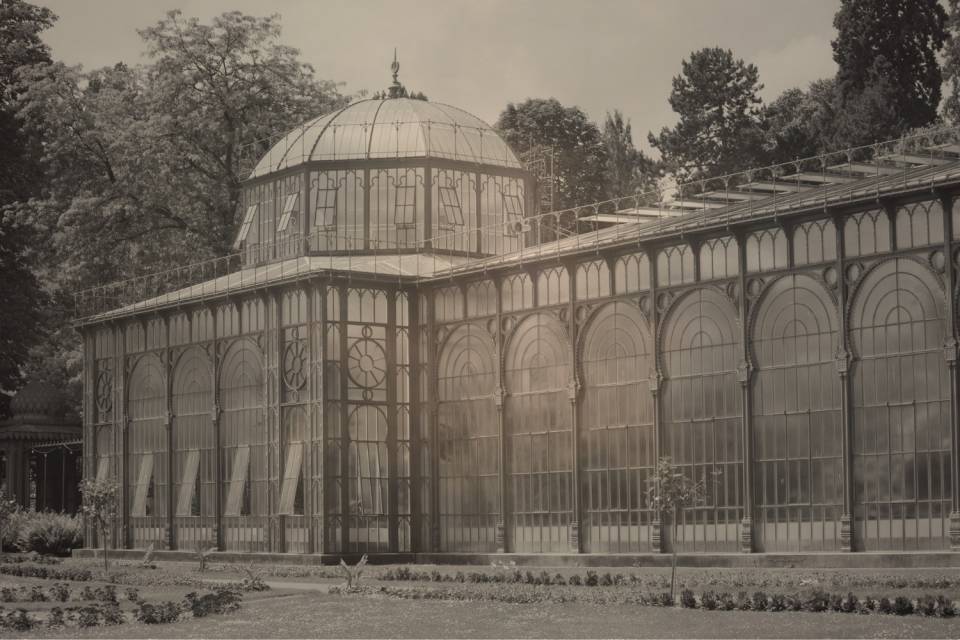 A Brief History of the Solarium Through Time